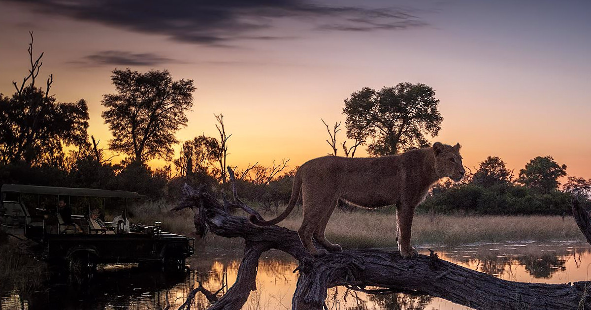 Big 5 | Safari Areas and Packages