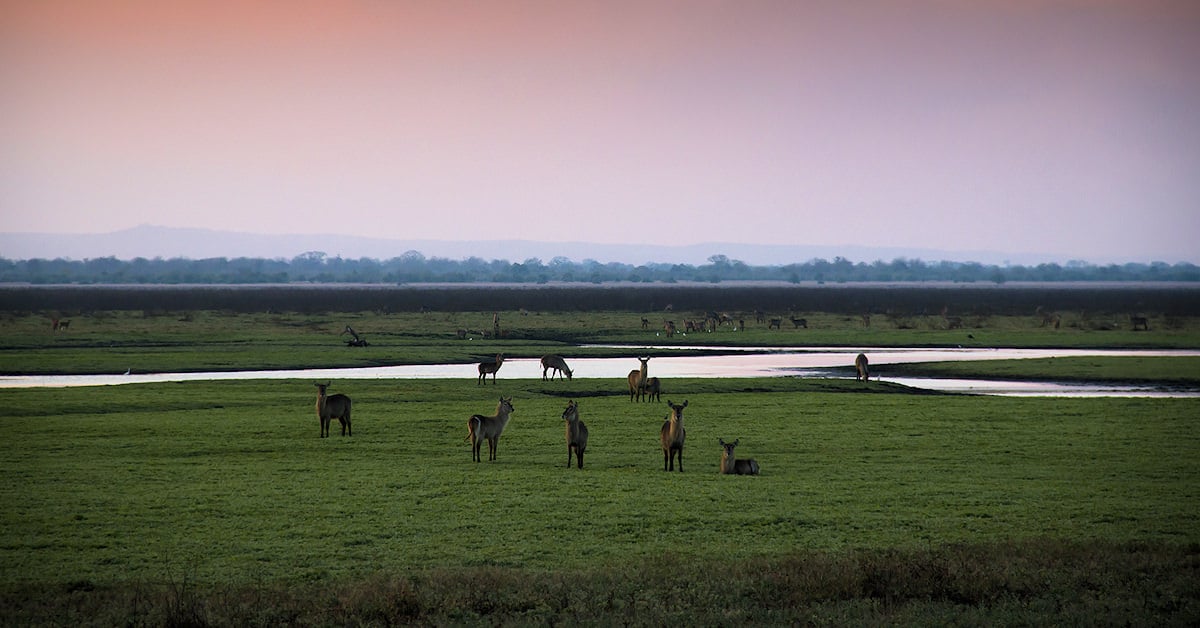 Visit Mozambique to Experience Beaches and So Much More