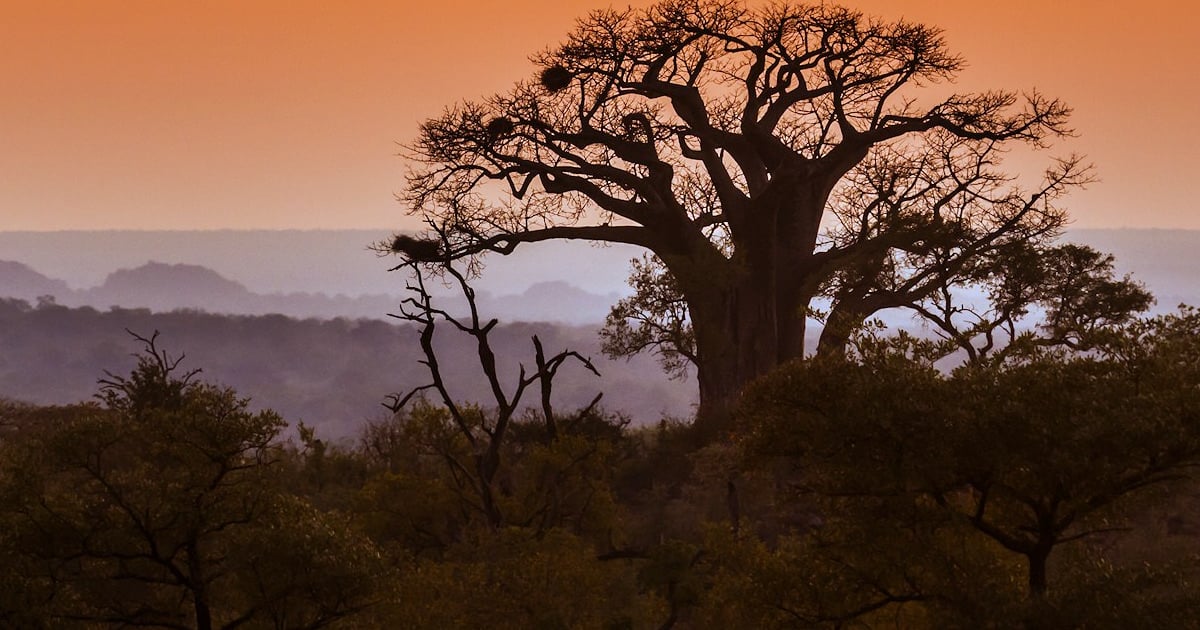 Kruger Park Rest Camps | Accommodation in Kruger National Park