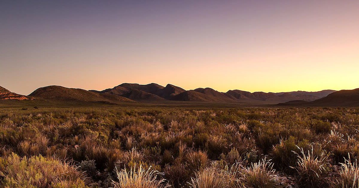 Karoo National Park | South Africa Safari Destination