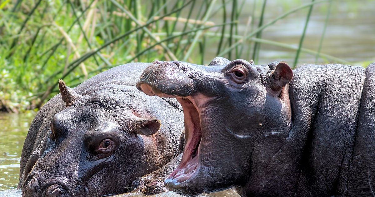 Wildlife & Culture Tour | 10 Days - South Africa