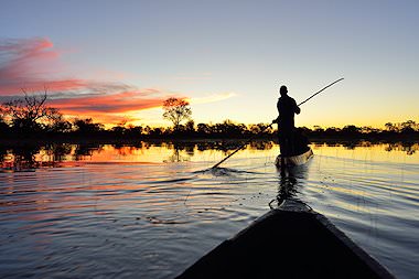 Botswana Safari Tour Packages - African Sky